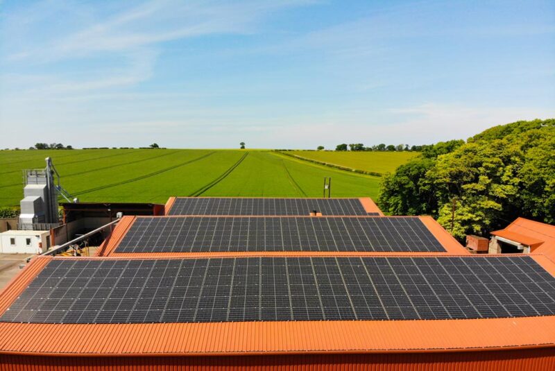 Energy Industry Insights | Stay Informed with Ember Energy