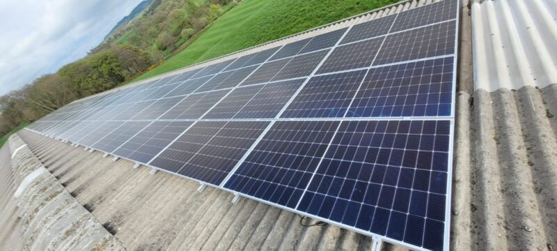 Energy Industry Insights | Stay Informed with Ember Energy